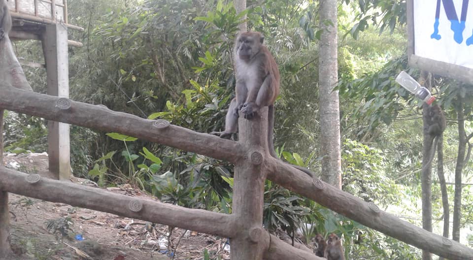 The 7 Falls of Lake Sebu, South Cotabato via Tacurong City, Sultan Kudarat