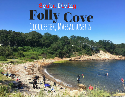 Katie Wanders : Diving Folly Cove- Gloucester, Massachusetts