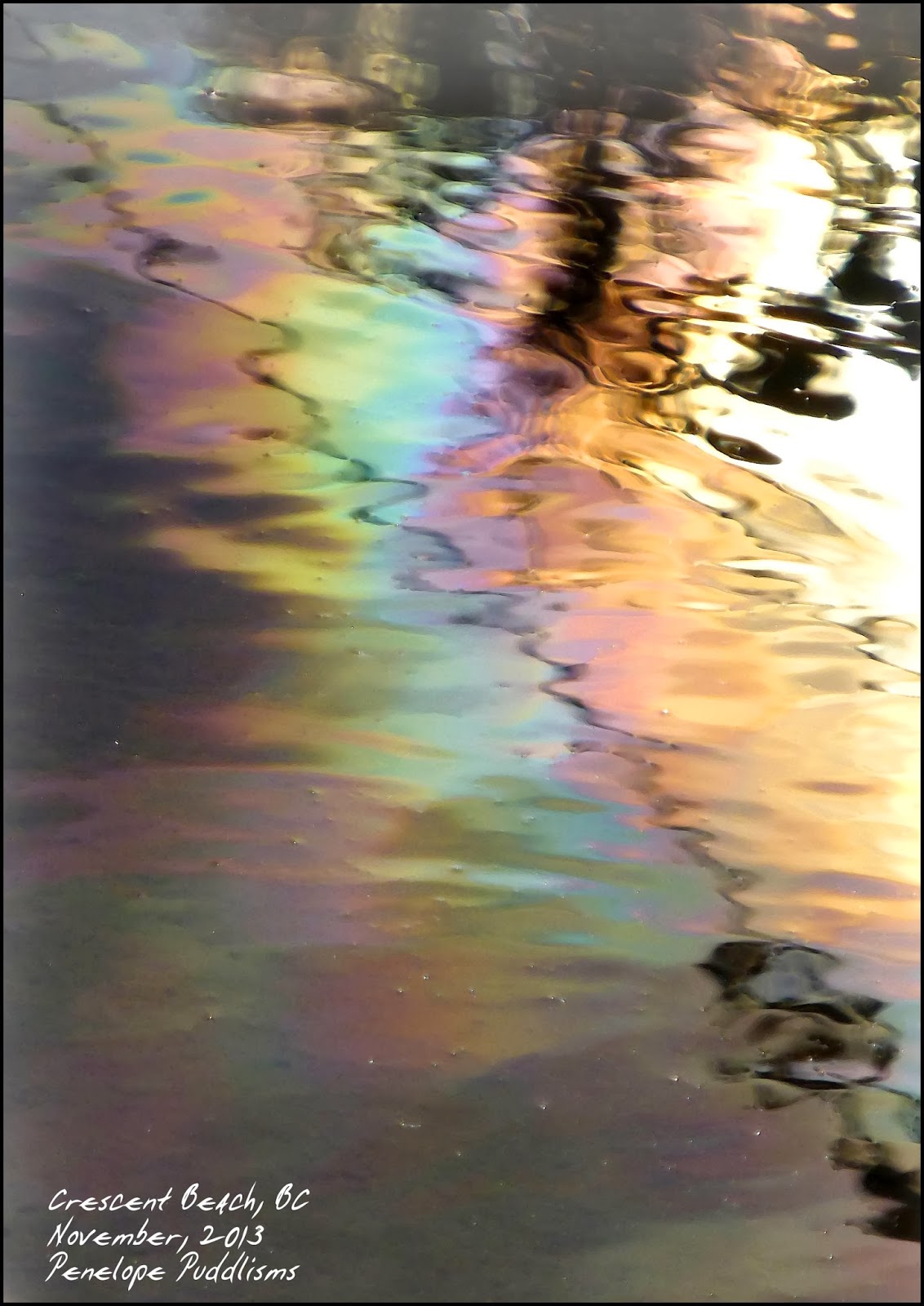 Postcards From Penelope Puddle: Sun Rolls A Rainbow Of Colour Onto A Puddle