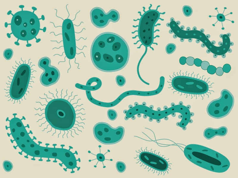 Germ Warrior Reviews