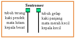 BIOLOGI GONZAGA: SOAL LATIHAN UJIAN UI - UGM 02