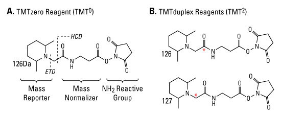 Lab series #17: Labelling methods for Quantitative Proteomics by MS