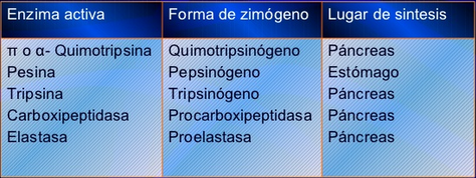 Bioquimica! : CIMÒGENOS (Proenzima)