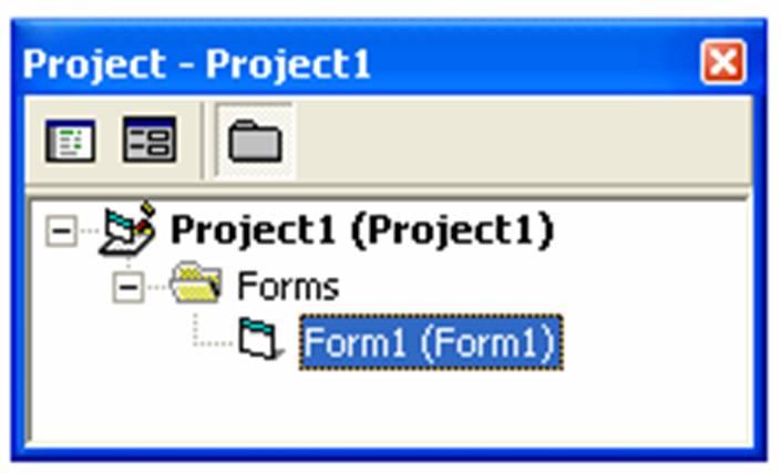 Project Explorer Window of Visual Basic 6.0
