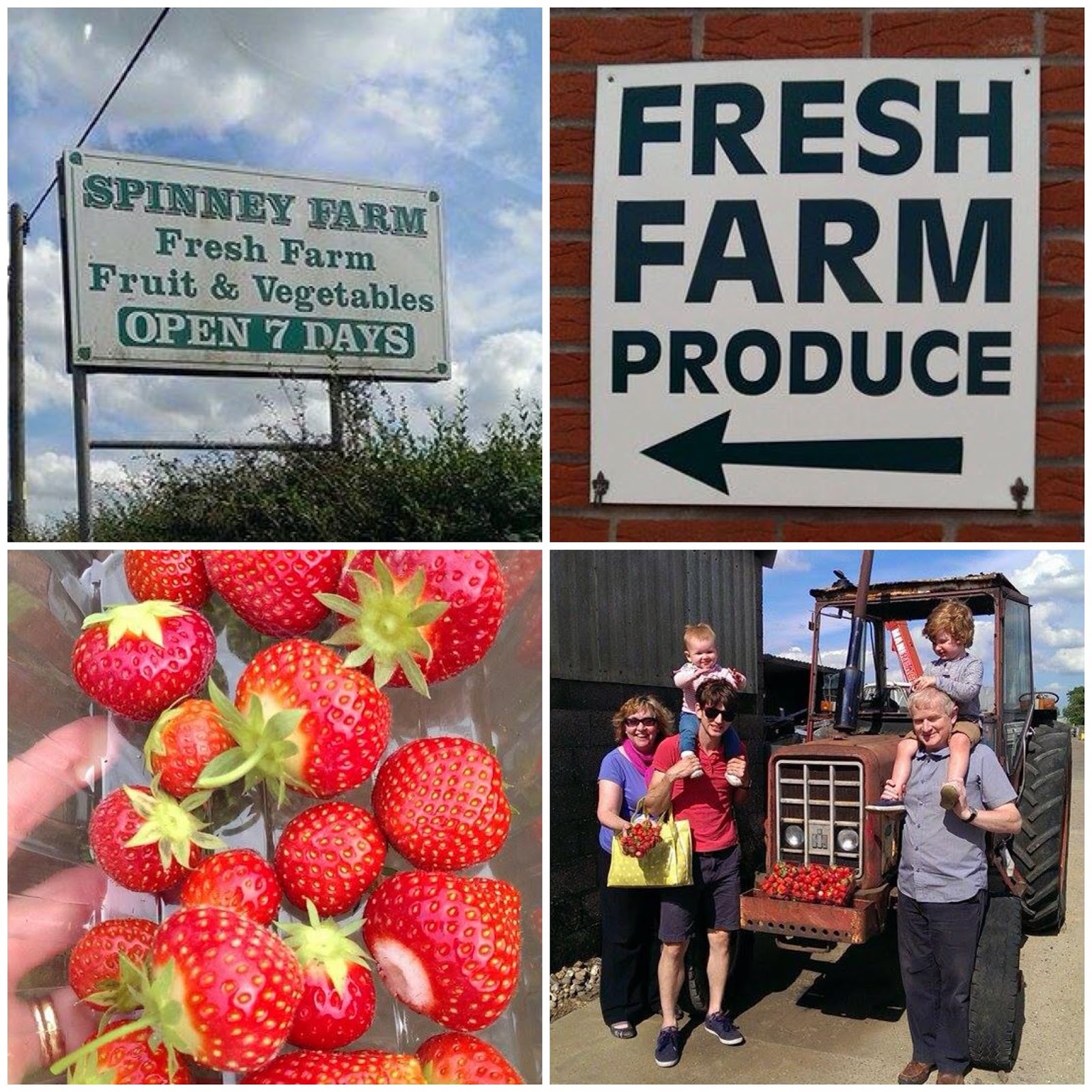 Strawberry picking at Spinney Farm | Brick Dust & Glitter