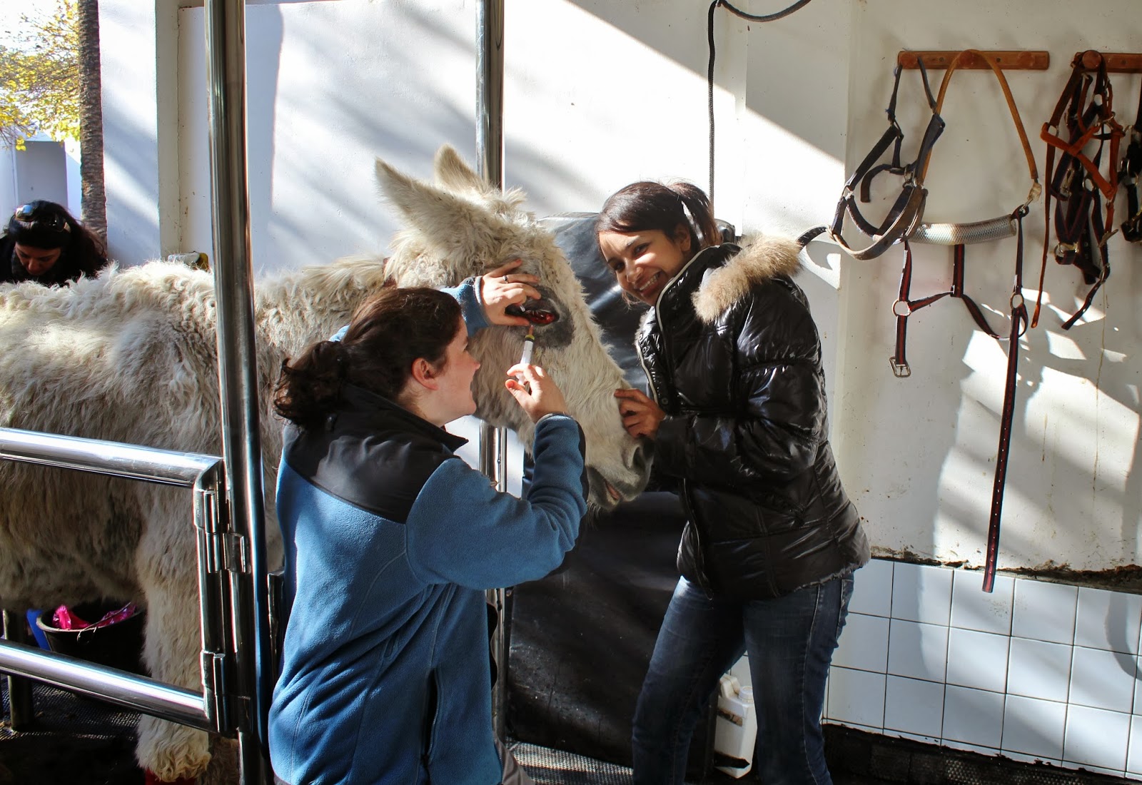 The Ninth Year...: Morocco: The American Fondouk