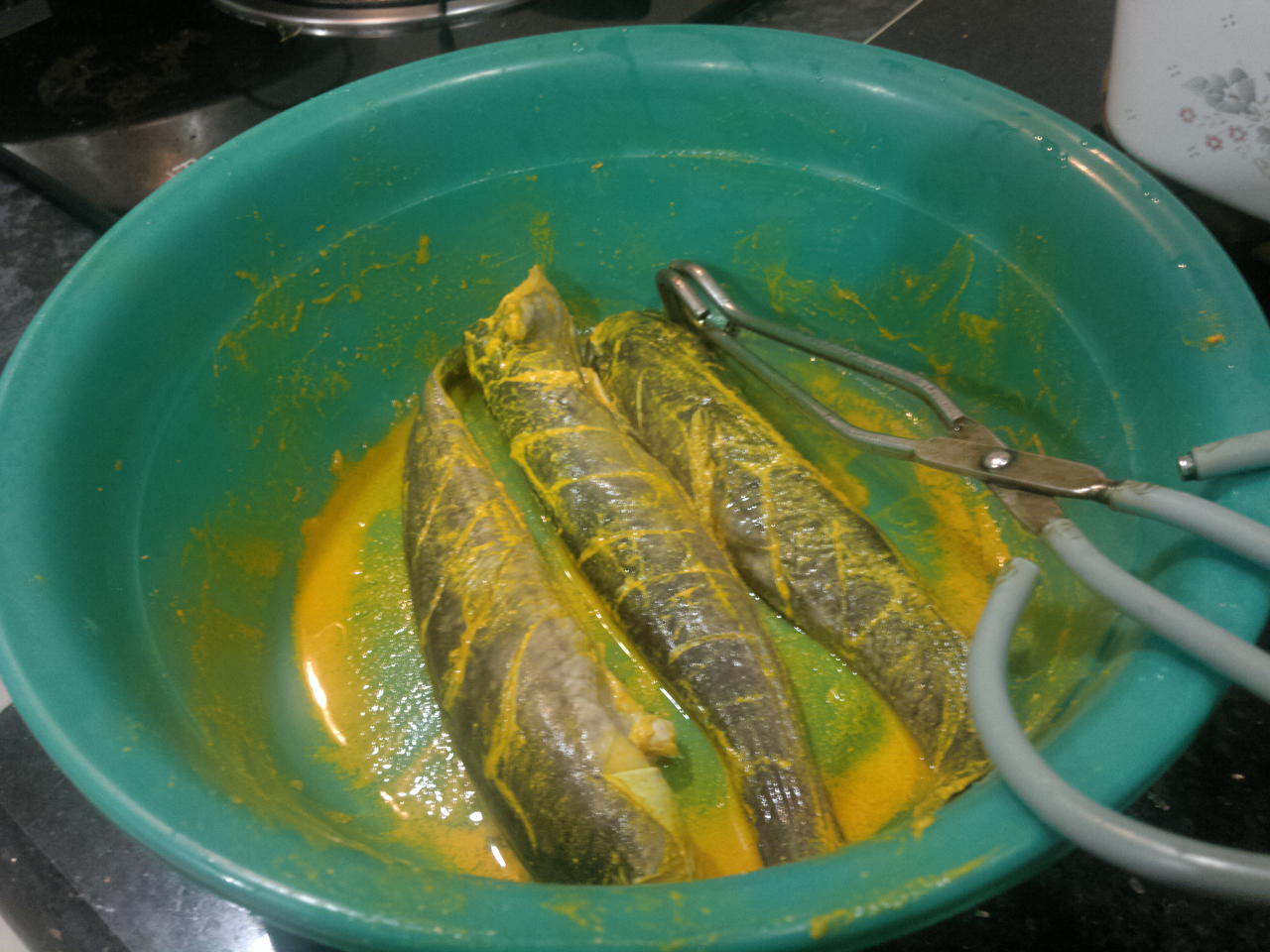 Shaun the Sheep.... I like!: Ikan sembilang laut