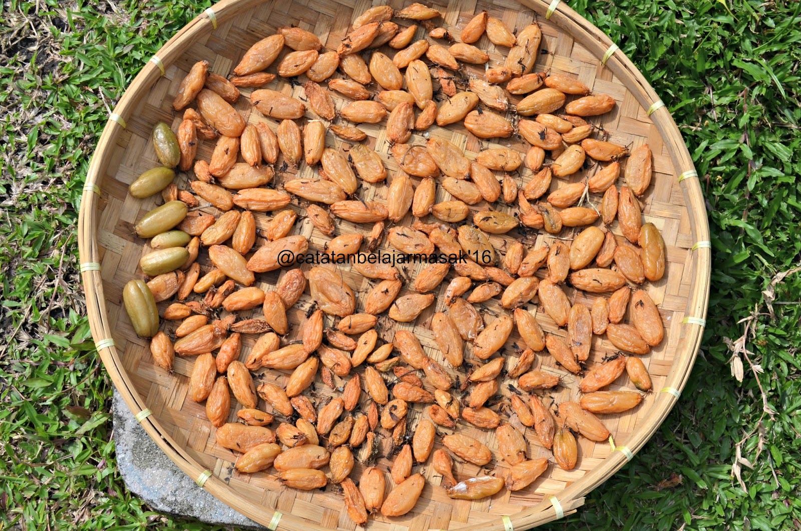 Asam Sunti atau Mengawetkan Belimbing Wuluh | Catatan Belajar Masak