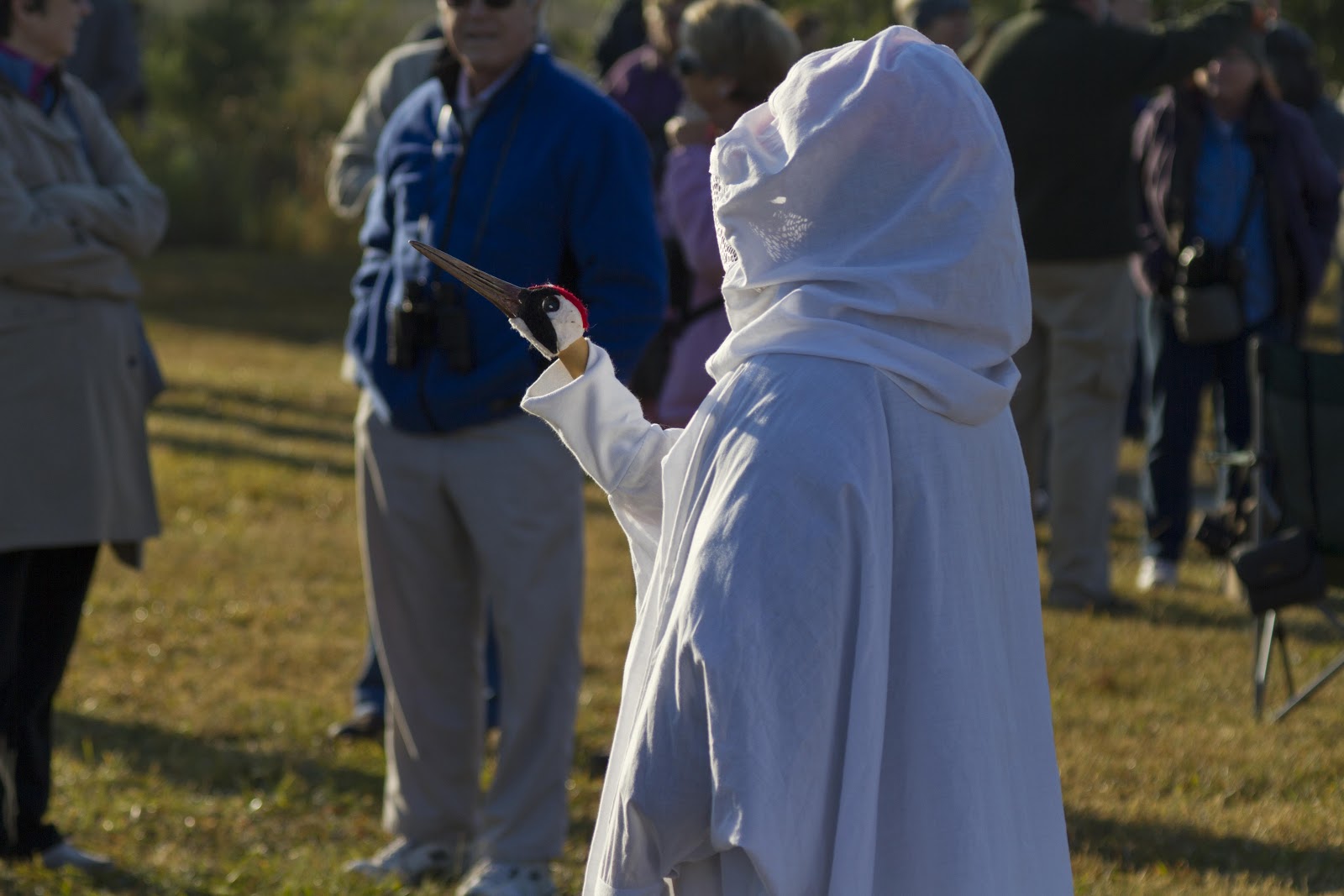 Tarpon Tails: Return of the Whooping Cranes