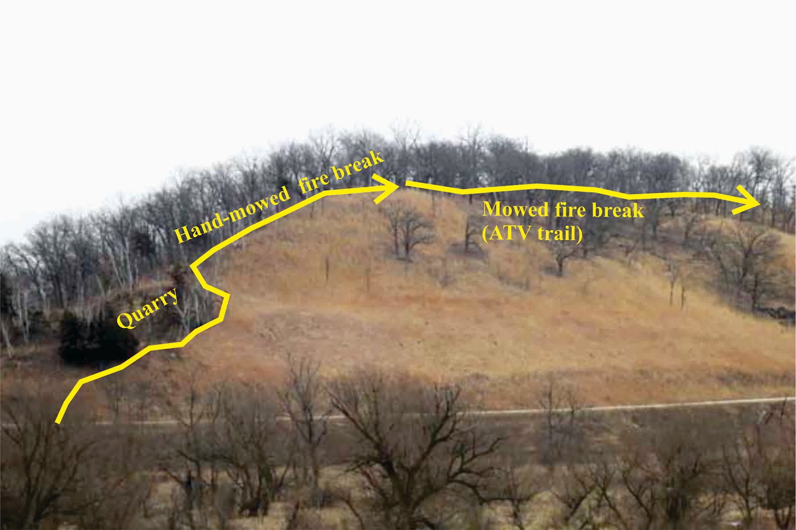 Tom's Blog: February 2012