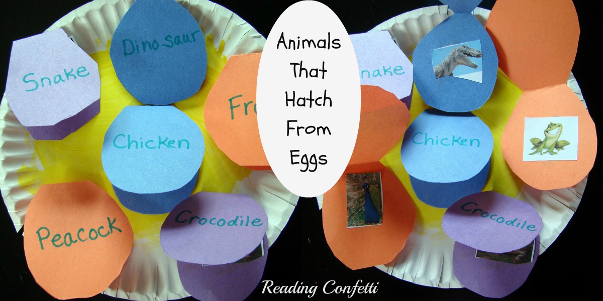 Animals That Hatch From Eggs Project ~ Reading Confetti