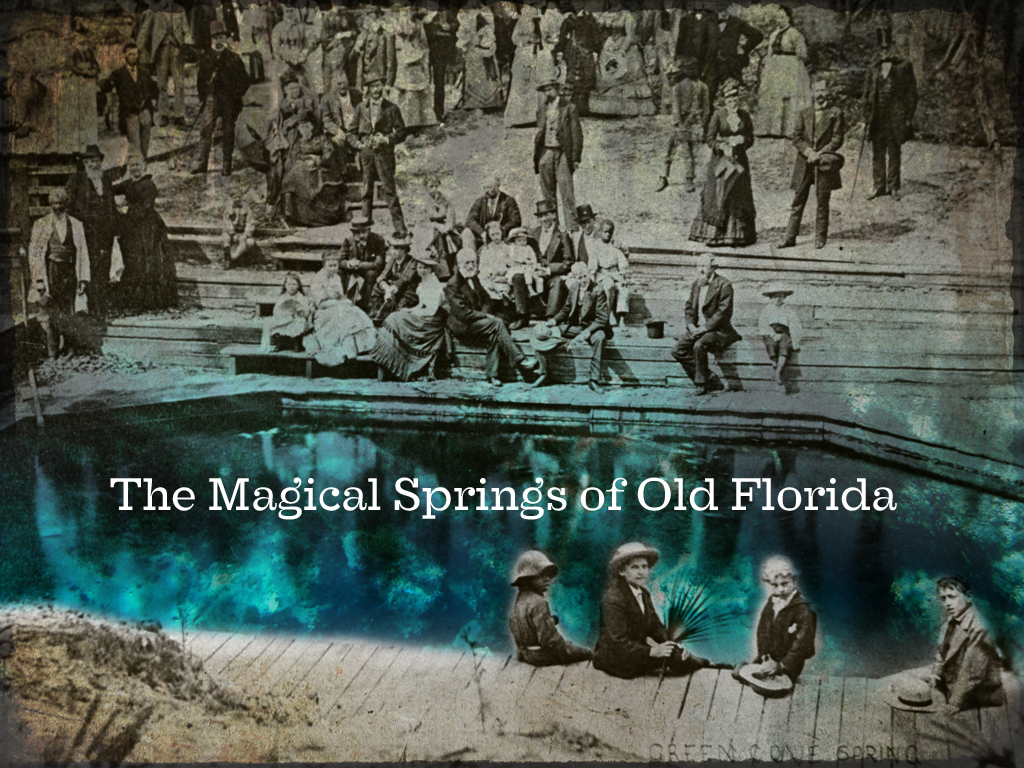 Finding the Fountain of Youth: Discovering Florida's Magical Waters