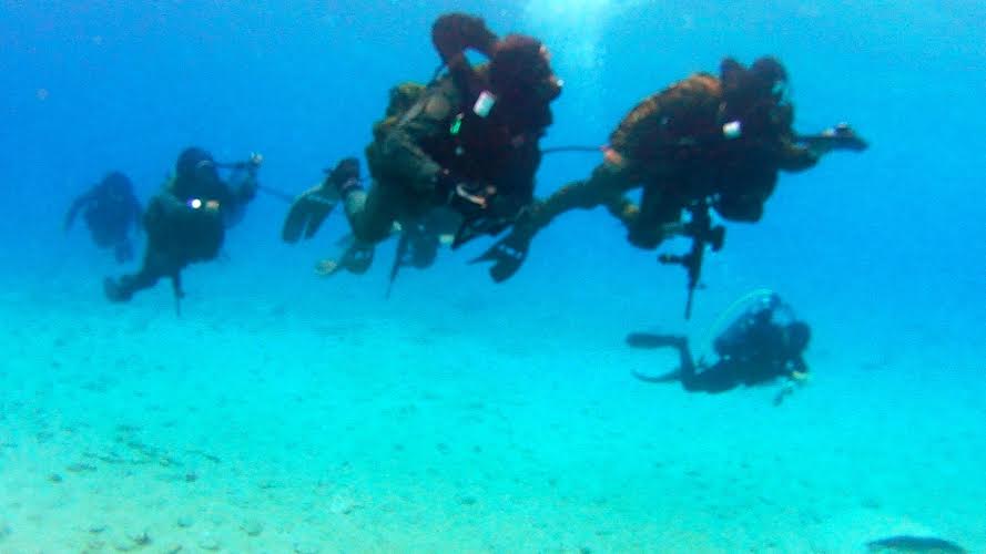 ΑΠΟ ΤΟ ΜΕΓΑΛΟ ΠΕΥΚΟ ΣΤΕΛΝΟΥΝ ΦΙΡΜΑΝΙ ΣΤΑ ΜΕΜΕΤΙΑ ΟΙ ΑΜΦΙΒΙΟΙ ...