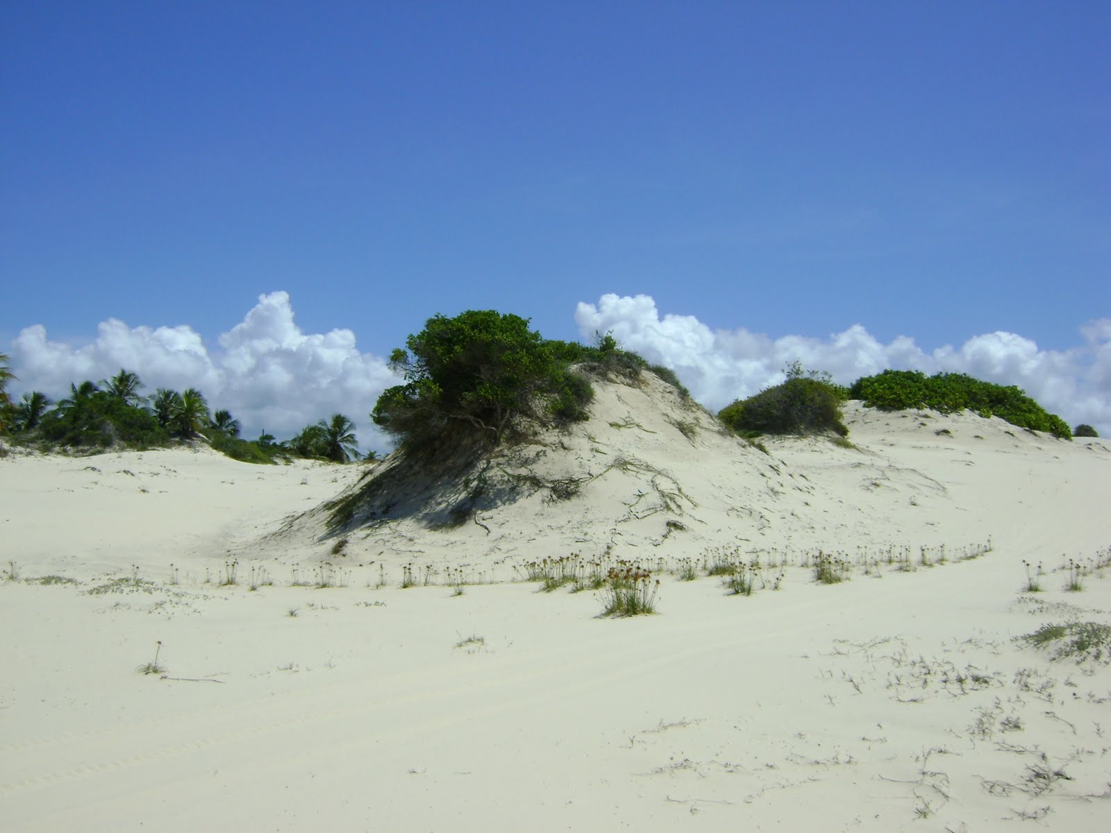 Kadu Viagens: Praia das Dunas - Sergipe