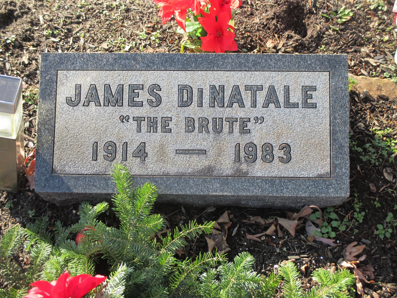 Who is Kellyanne Fitzpatrick Conway who works for Donald Trump ...