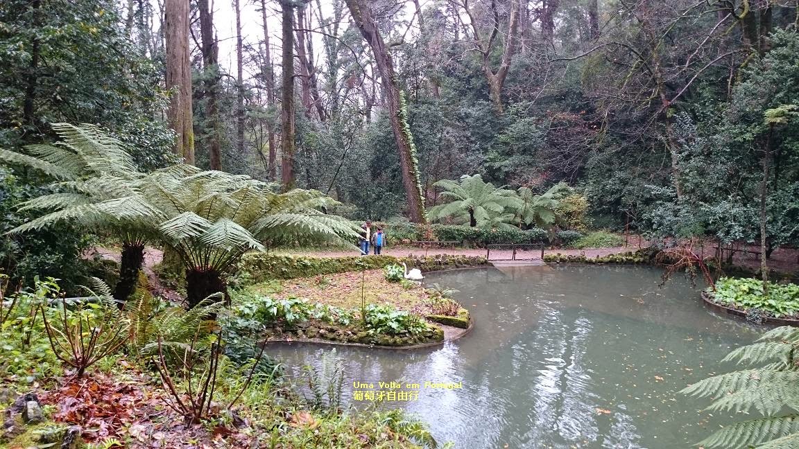 葡萄牙自由行 Uma Volta em Portugal : Buçaco Part 1 ~ 國家森林篇 / Buçaco Part 1 ...