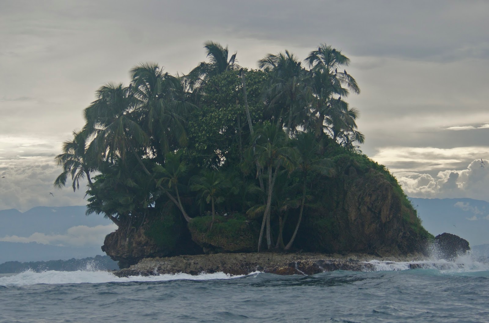 Jan Axel's Blog: Bird of the Month: Red-billed Tropicbird