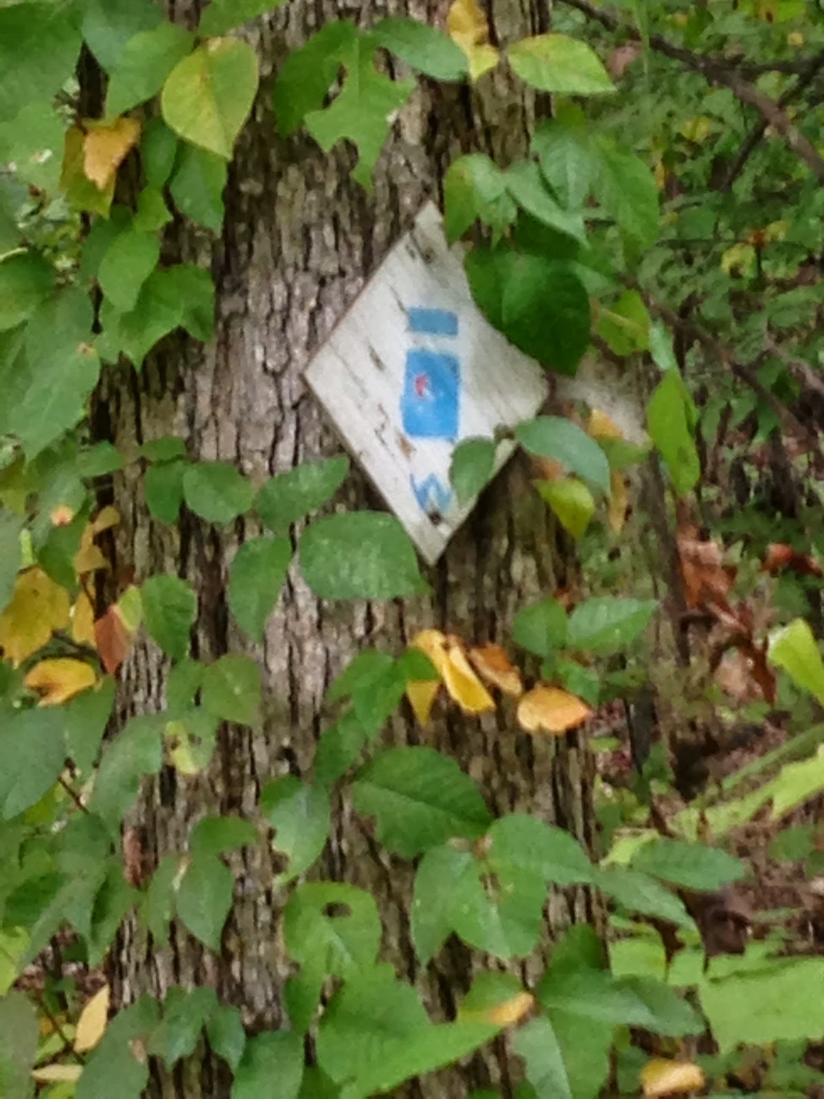 River to River Trail (R2R): River To River Trail Southern Illinois