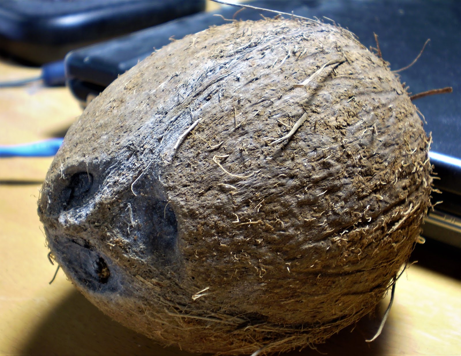 Travessa do Fala-Só: Coco, matapa, mucapata e galinha à zambeziana