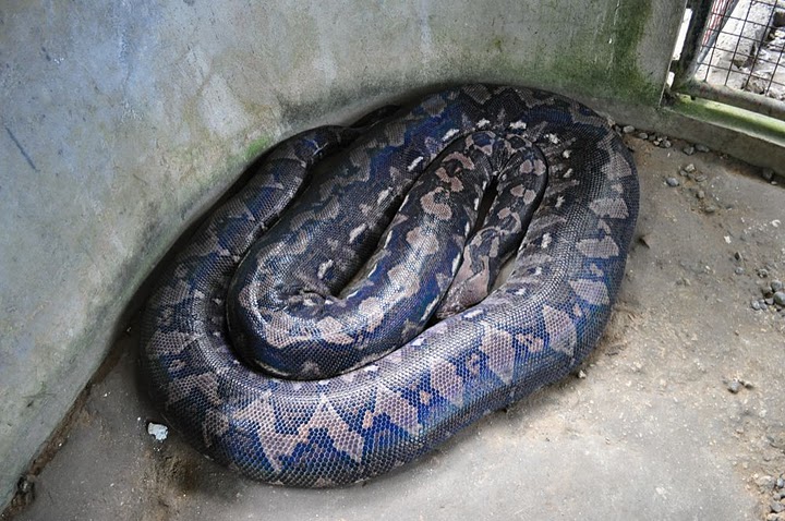 wandering flipflops: Wandering Flipflops Recommends: Panglao Island ...