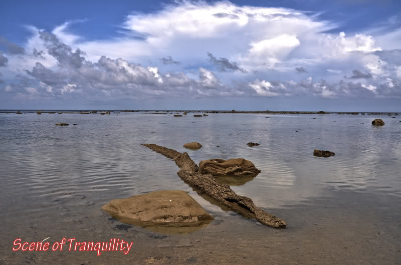 Scene of Tranquility: Tranquility at UMS Beach.