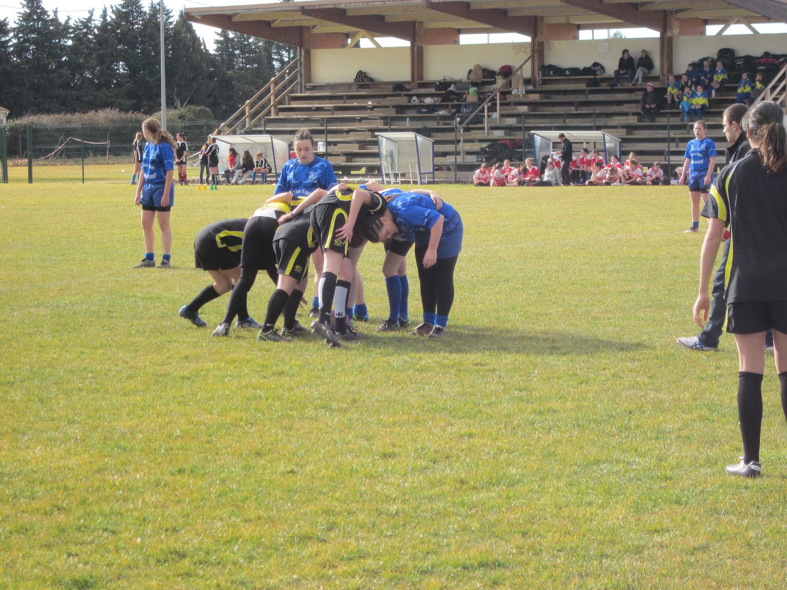 ecole-cheval-paysage: Dans les coulisses du Championnat de France de ...