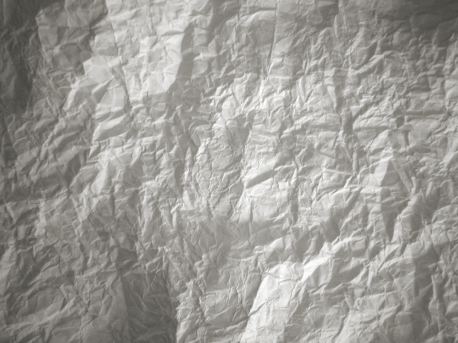 Materiaal & Techniek: PAPIER