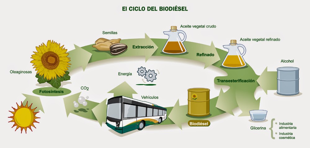 ¿Cual es el impacto de los combustibles y posibles alternativas de ...