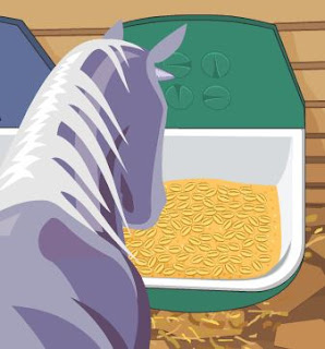 Solved: Charger Escape Walkthrough