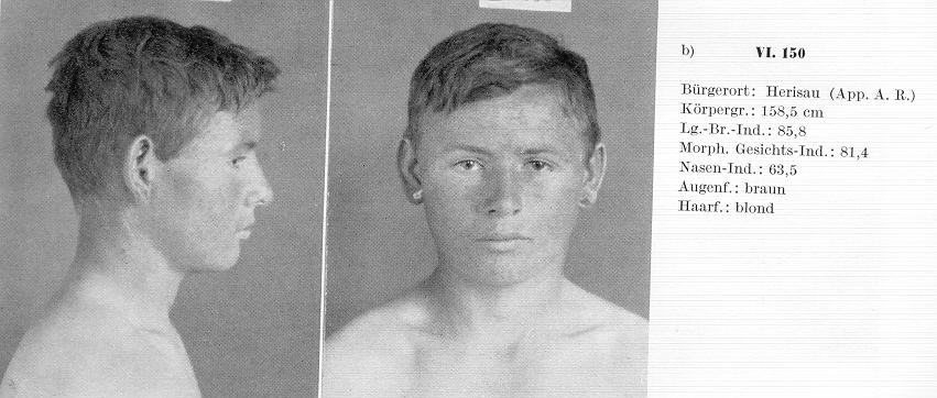 Alpine Race Characteristics