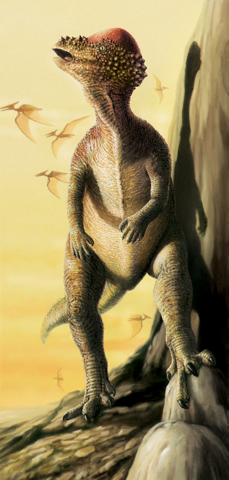 Pachycephalosaurus | Ikessauro