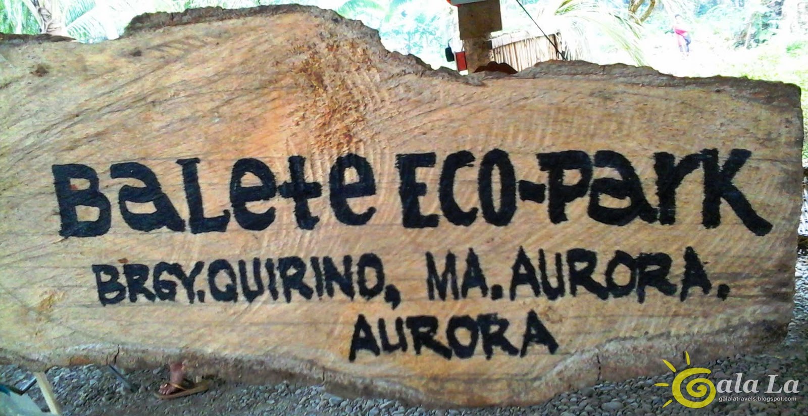 Gala La Travels: Exploring the Largest Balete Tree in Asia ~ AURORA