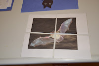 Children's Learning Activities: Bats!
