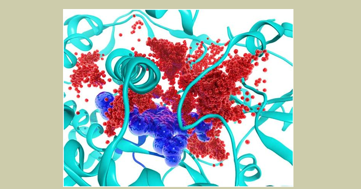 Sebutkan Jenis Enzim Protease Yang Diproduksi Dalam Bentuk Belum Aktif ...