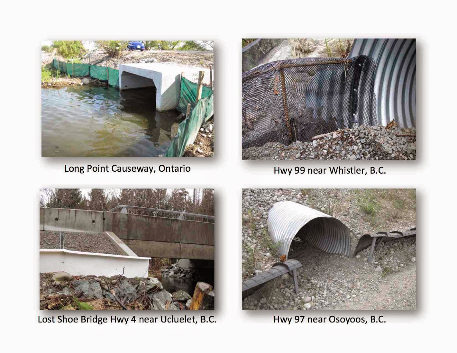 The SPLAT Project Amphibian Tunnel: 2014