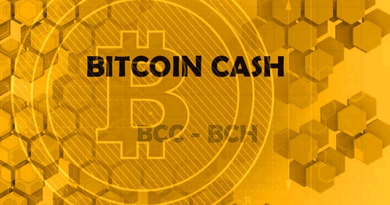 BITCOIN CASH PRICE TAKES SOLID HITS - Bitcoin Cash