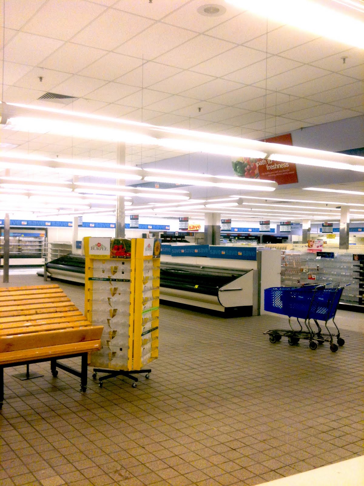 ART SKOOL DAMAGE : Christian Montone: Calves Liver, Kazoos, Child DNA ...