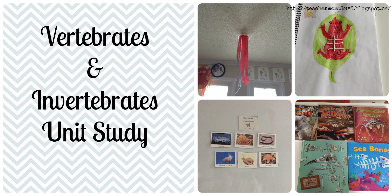 TeacherMomPlus3: Vertebrates and Invertebrates Unit Study