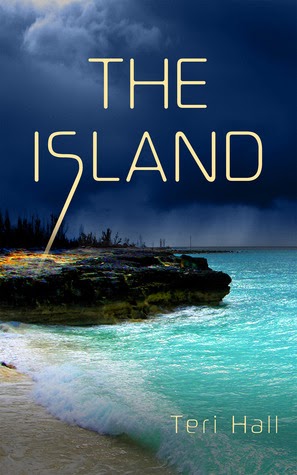 Born Bookish: Breathtaking Book Cover: The Island