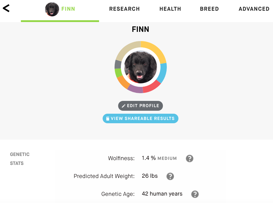 Embark Dog DNA Test Review
