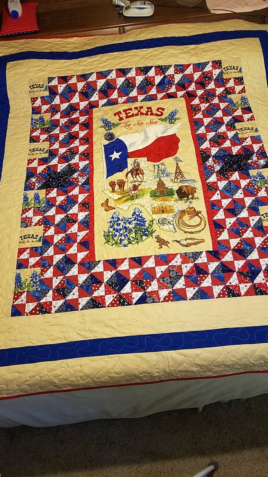Quilts Unlimited: Texas Panel Quilt Number One