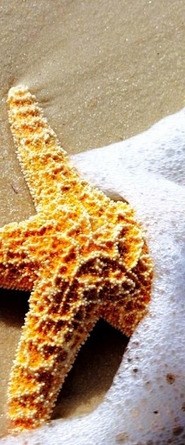 Sun. Sand. Surf. ~ Photos Hub