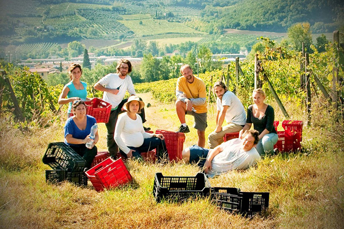 Vacation: How to do agritourism