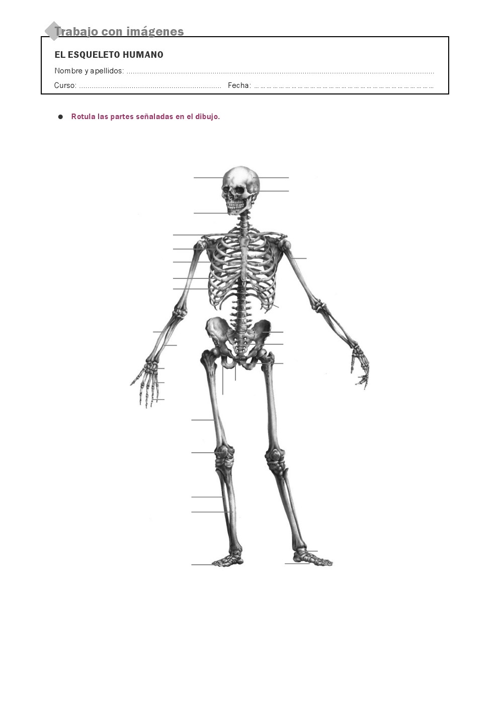 RECURSOS PRIMARIA | Láminas mudas del cuerpo humano ~ La Eduteca