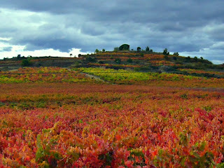 El VINO QUE BEBO: RIOJA, LOS COLORES DEL OTOÑO