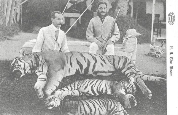 Bengal tiger hunting - British royals and Indian elite - colonial era ...