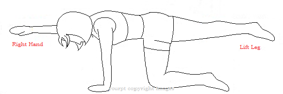 Your Physical Therapy: Core Stability Exercises