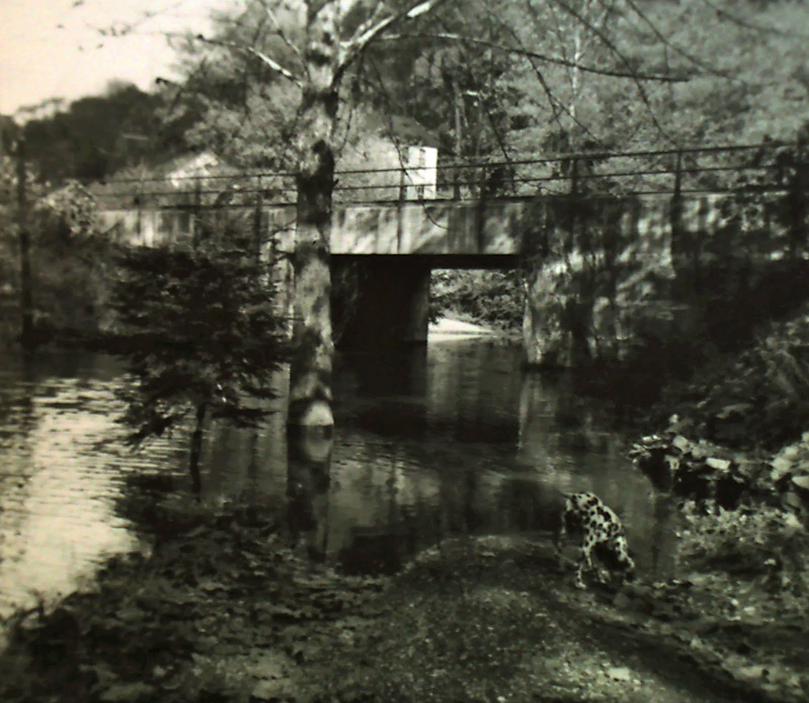 SWPA Rural Exploration: Fredericktown Ferry. Cable operated Ferry Boat ...