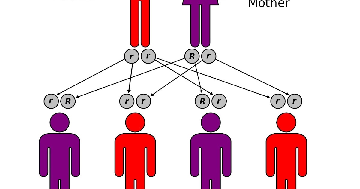 INHERITANCE IN C++ (5) - Narendra Aliani