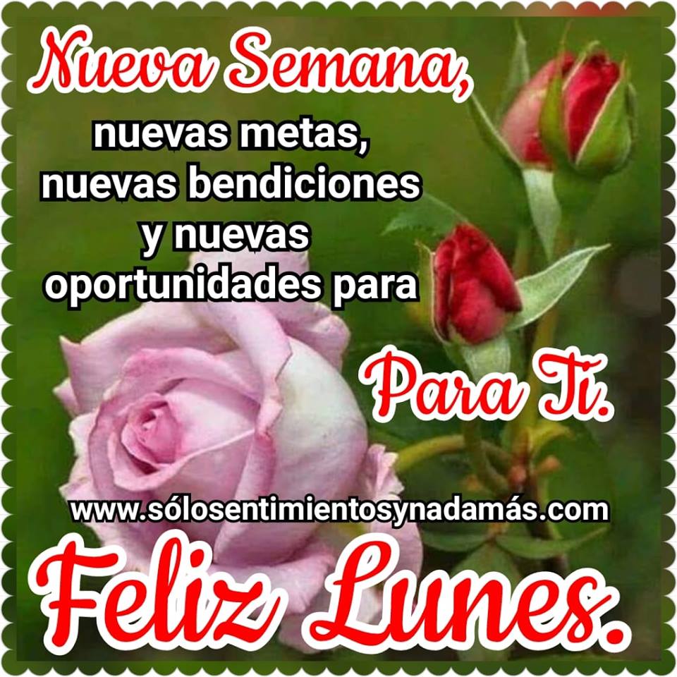 Nueva Semana Solo Sentimientos Y Nada Mas